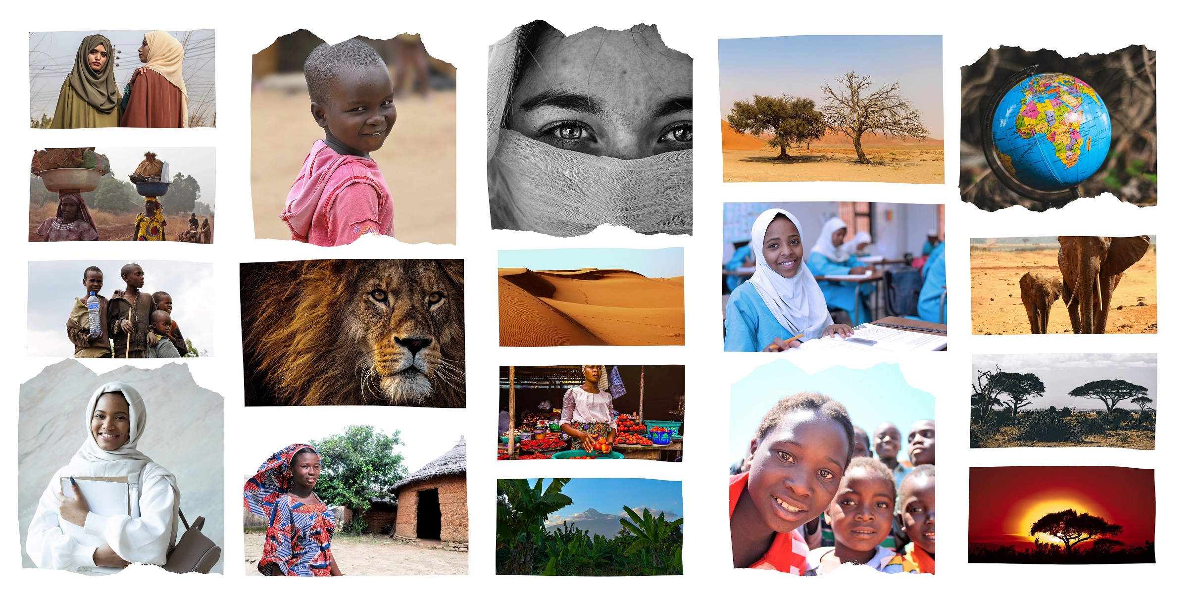 UNESCO Chair in Women, Science and Technology | Sudan University of ...